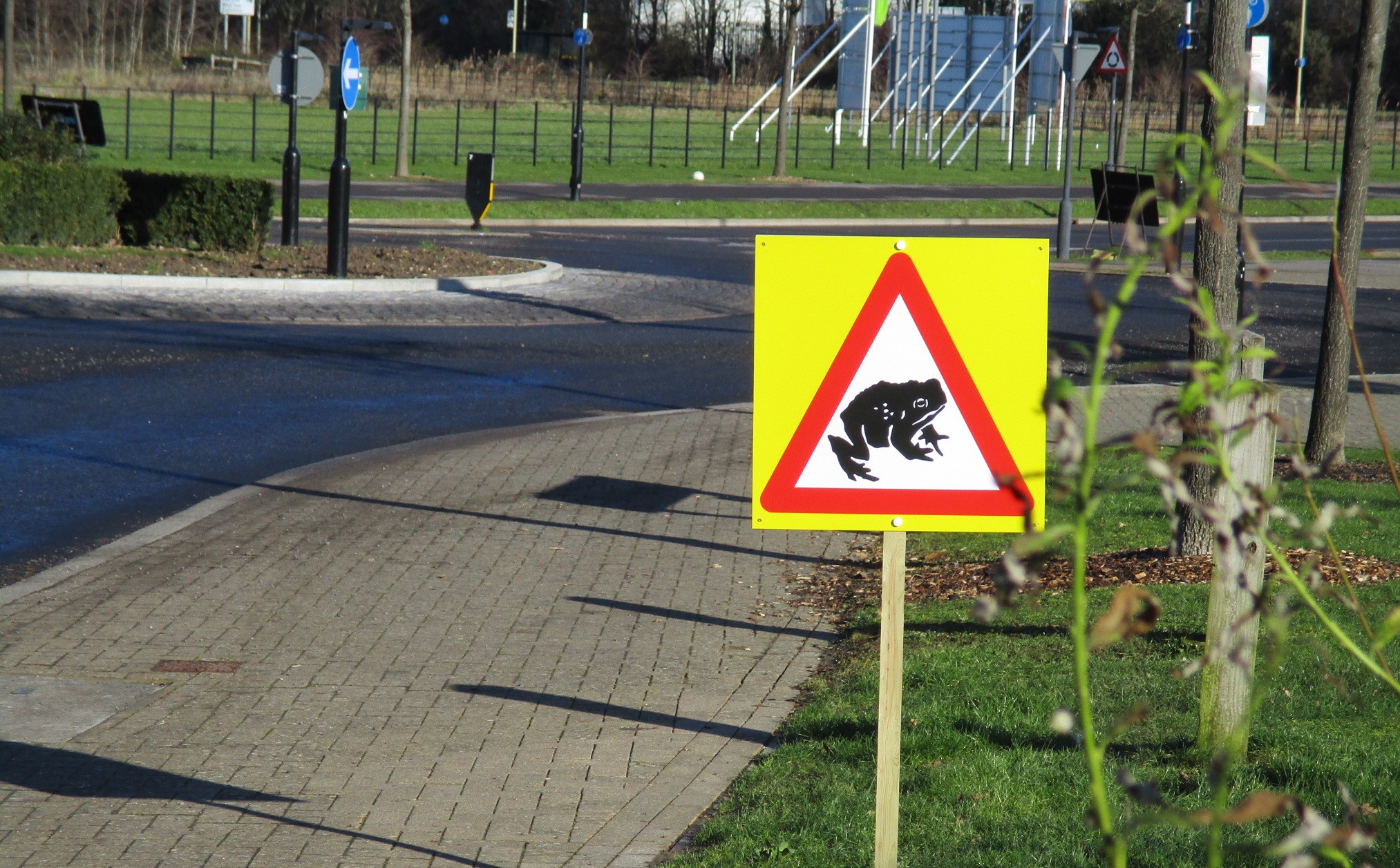 Common Toad Crossings - Berewood Hampshire